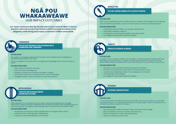 About – Tapuwae Roa